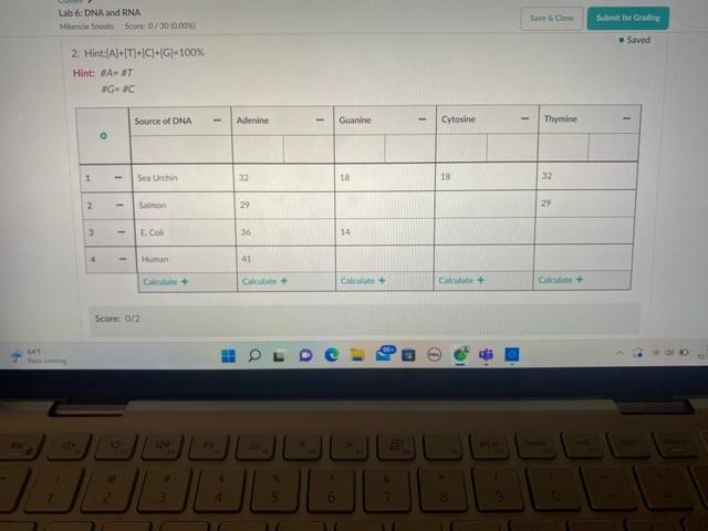 A. Chargaff's Rule For each of the biological | Chegg.com