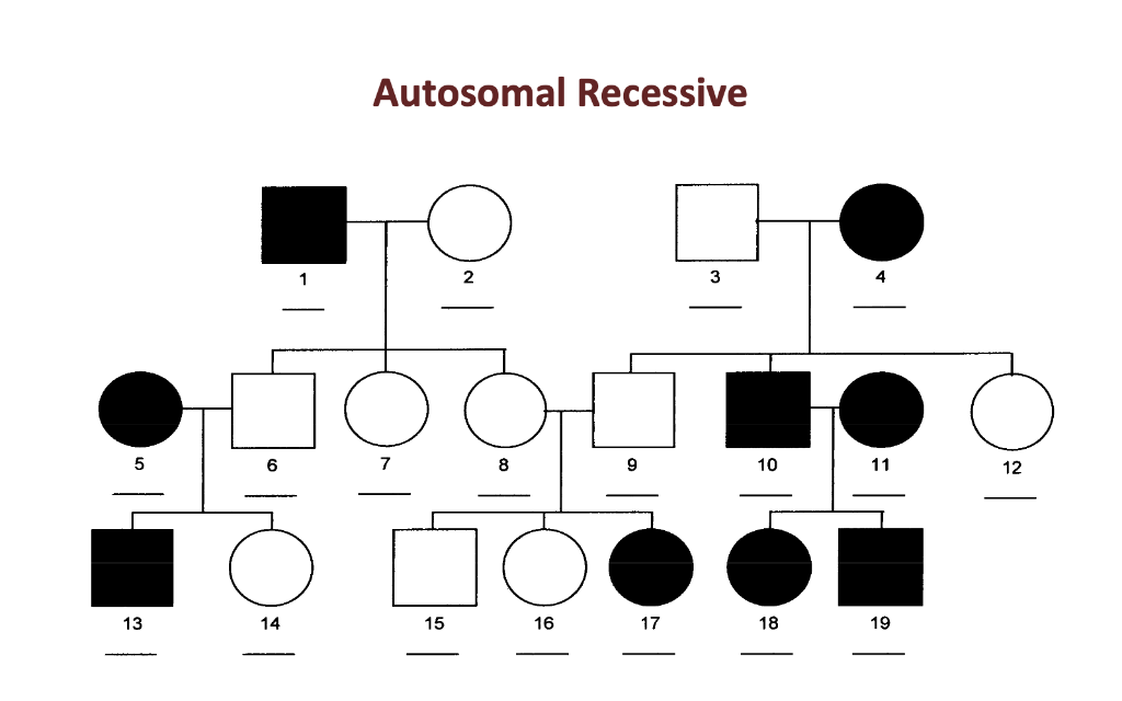 I am having trouble solving pedigree probability | Chegg.com