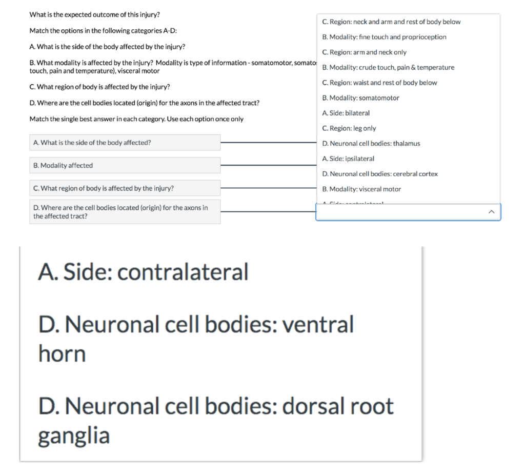 Solved Clinical Scenario - dorsal column damage This | Chegg.com