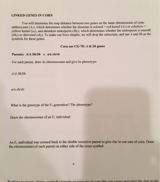 Solved You will determine the map distance between two genes | Chegg.com