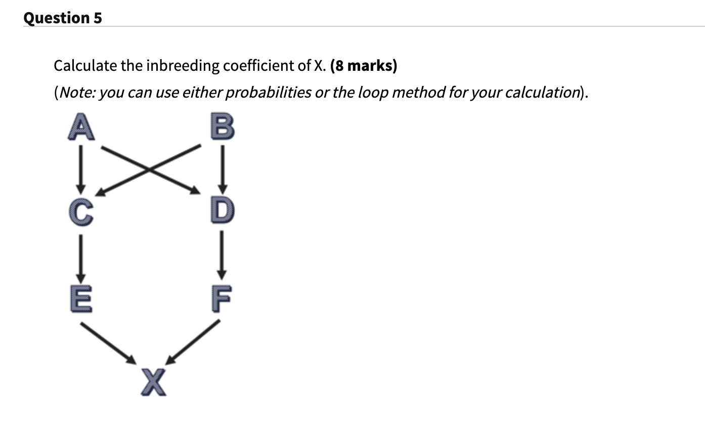 Solved Calculate the inbreeding coefficient of X. (8 marks) | Chegg.com