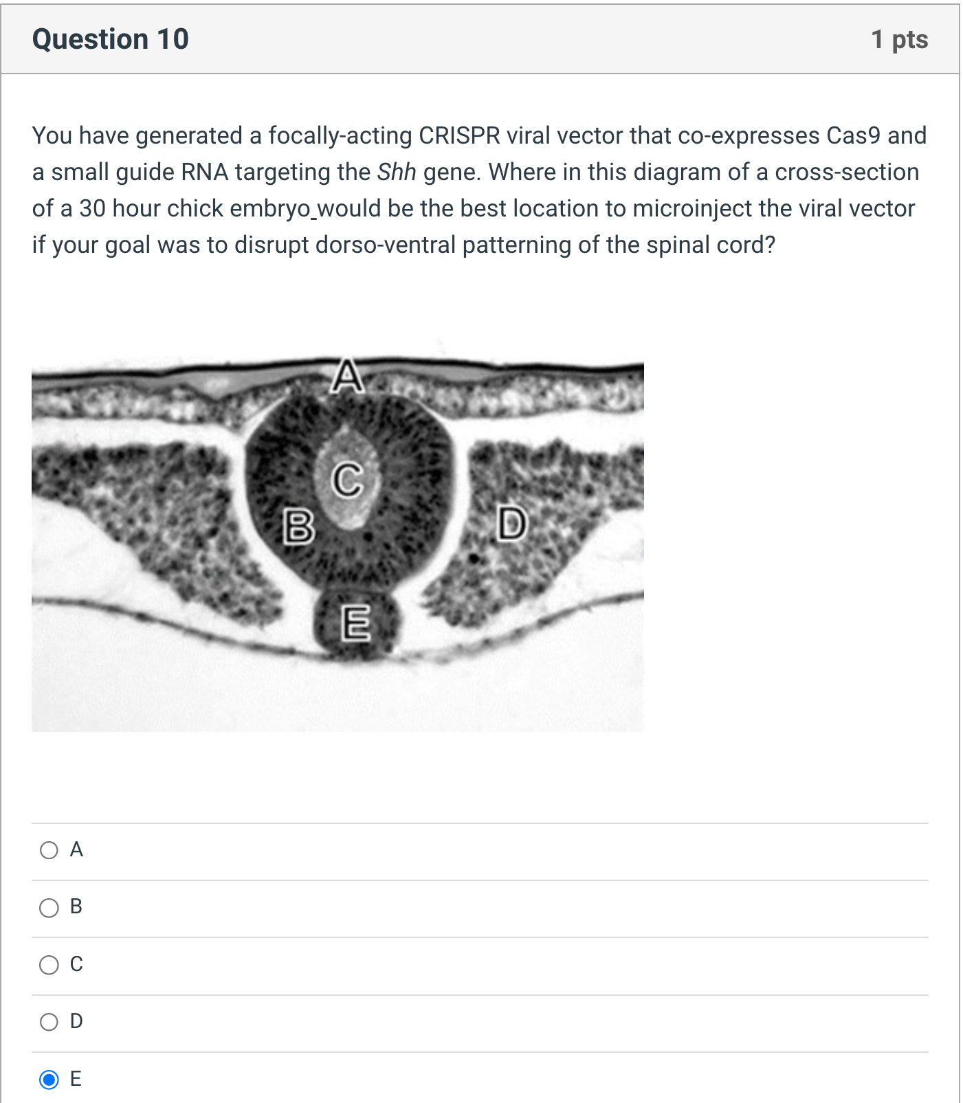 Solved Question 10 1 pts You have generated a focally-acting | Chegg.com
