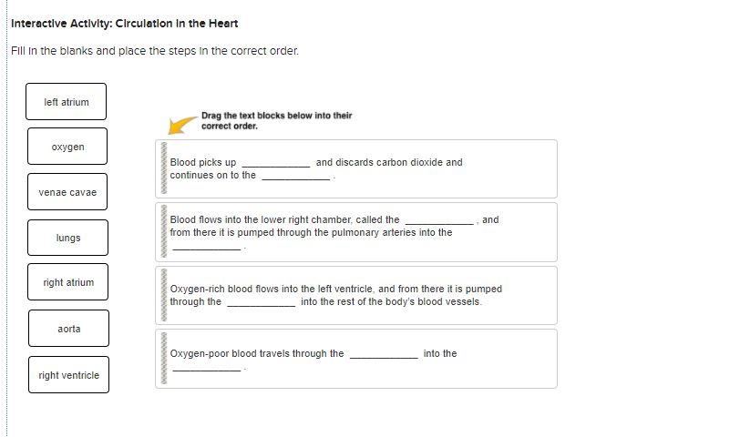 Solved Interactive Activity: Circulation in the Heart Fill | Chegg.com