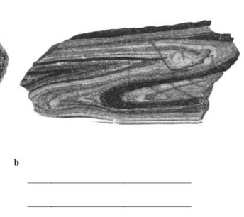Solved Part I: Classifying folds in hand sample 1. Figure | Chegg.com