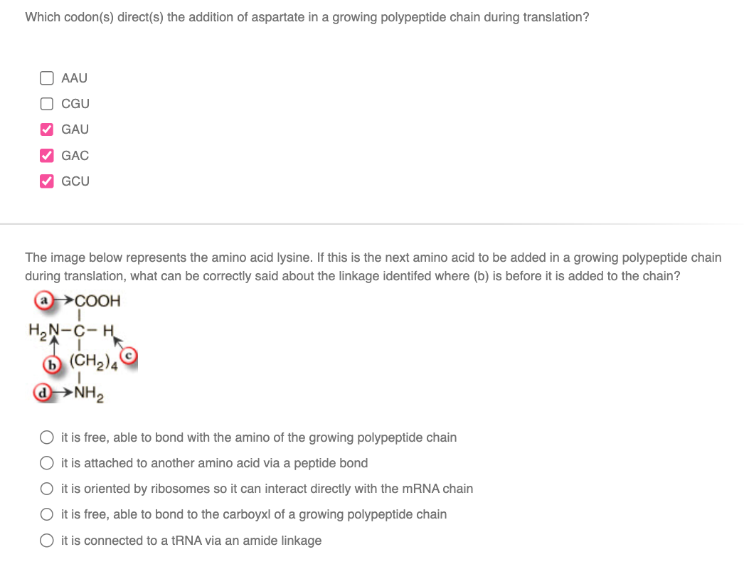 Solved Which codon(s) direct(s) the addition of aspartate in | Chegg.com