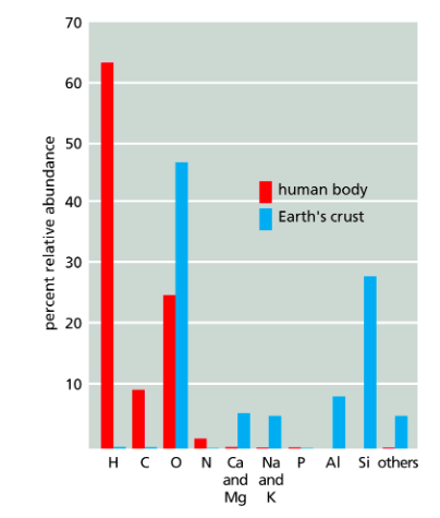 Solved The proportions of elements in the human body and the | Chegg.com