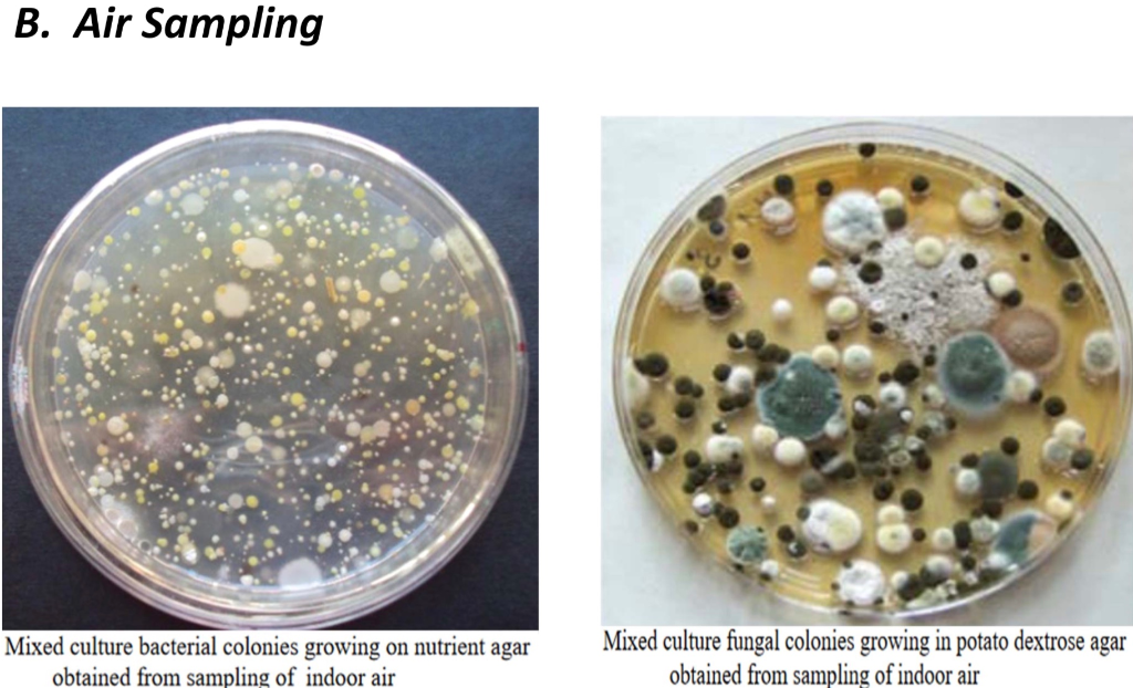 Solved Microbio Cell phone: compare the results of | Chegg.com