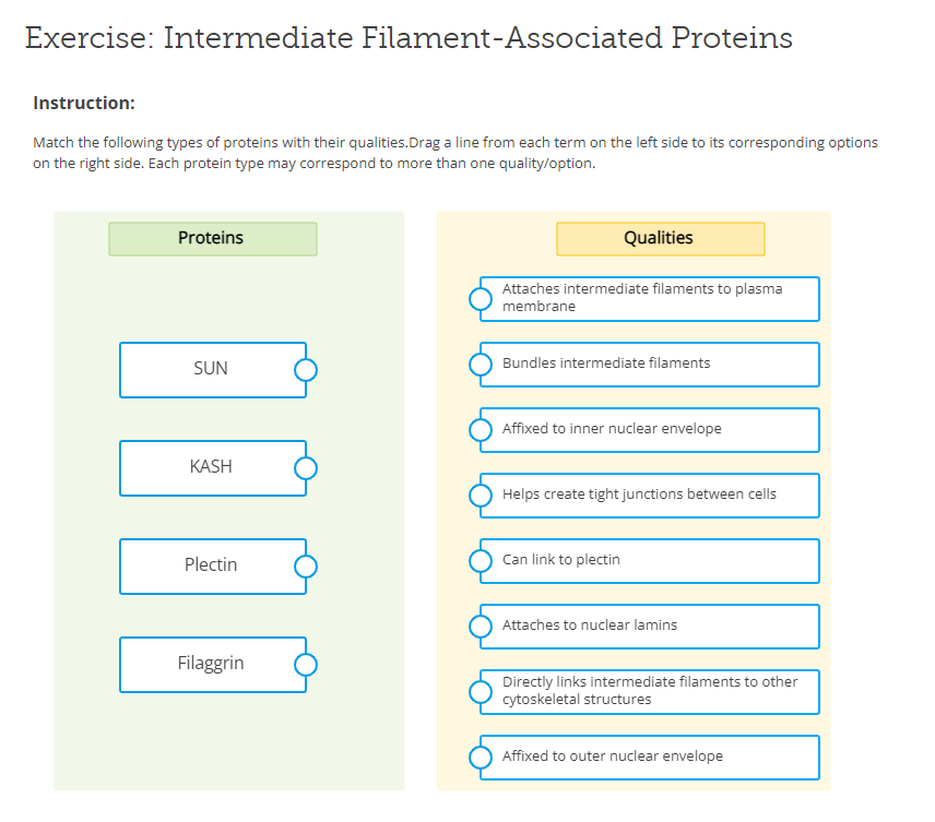 Solved Exercise: Intermediate Filament-Associated Proteins | Chegg.com