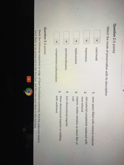 Solved Question 2 (5 points) Match the mode of preservation | Chegg.com