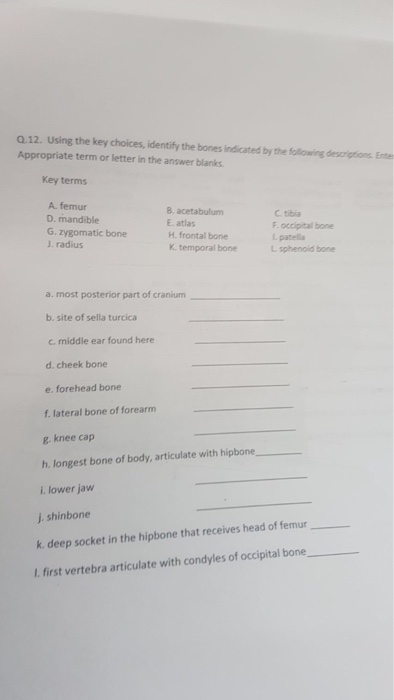 Solved Q.12. Using the key choices, identify the bones | Chegg.com