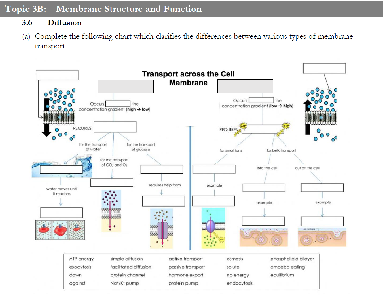 Solved Topic 3B: Membrane Structure and Function 3.6 | Chegg.com