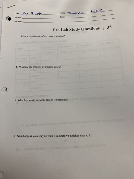 Solved Hoave Name Tamana Team Date Section Instructor |35 | Chegg.com