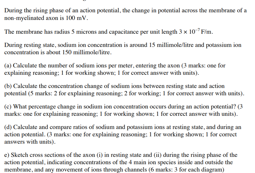 Solved During the rising phase of an action potential, the | Chegg.com