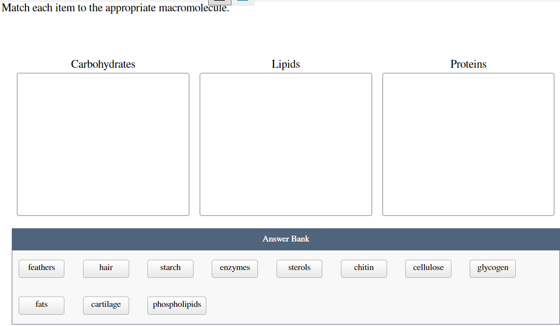 Solved Match each item to the appropriate macromolecule. | Chegg.com