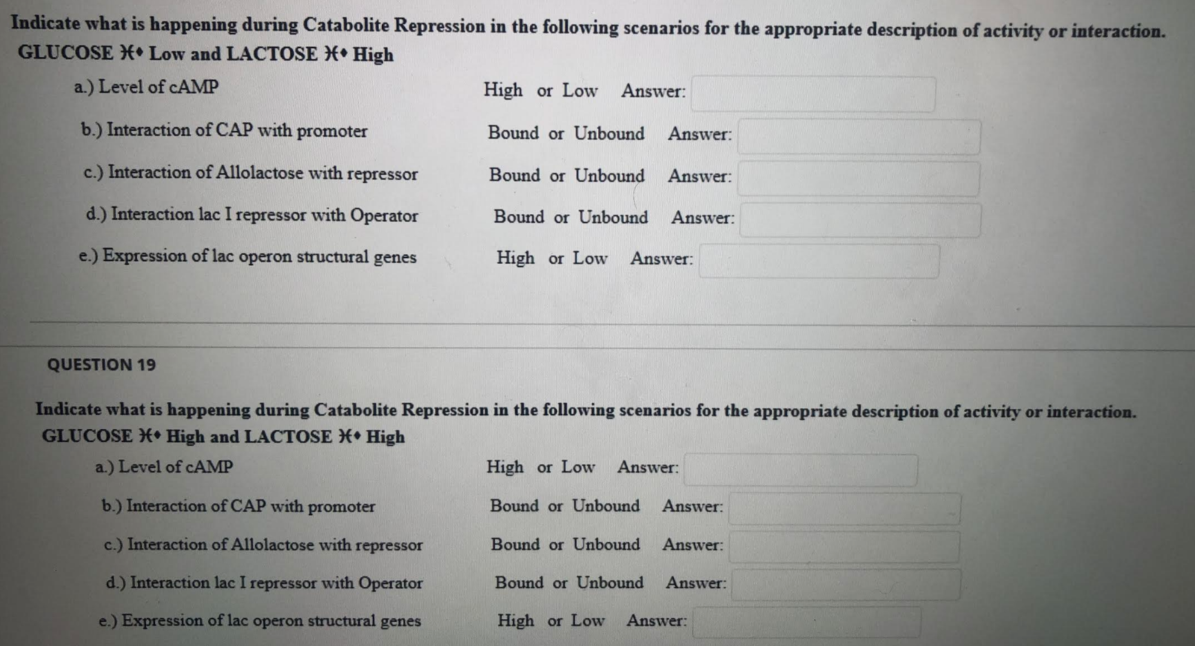 Solved Indicate what is happening during Catabolite | Chegg.com