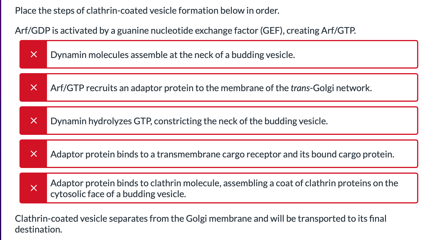 Solved Place the steps of clathrin-coated vesicle formation | Chegg.com
