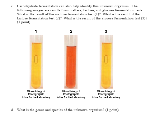 Phenol Red Fermentation Tubes