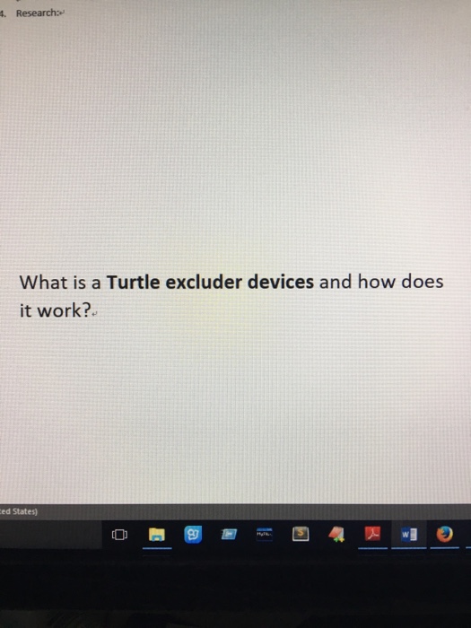 Solved What is a Turtle excluder devices and how does it | Chegg.com