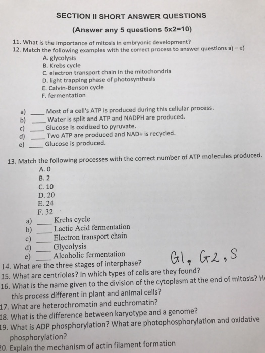Solved PROBLEMS SOLVING SESSION #4 SECTION I MULTIPLE CHOICE | Chegg.com