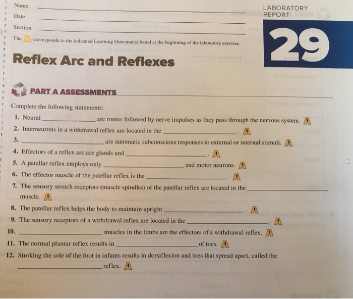 Solved Reflex Arc and Reflexes, Lab 29 PART A: | Chegg.com