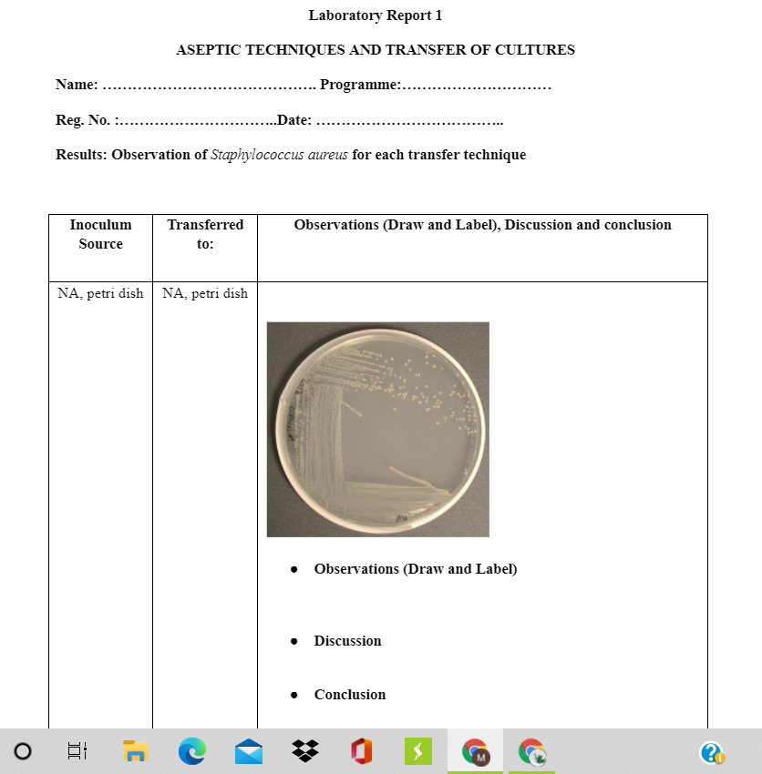 Solved Laboratory Report 1 ASEPTIC TECHNIQUES AND TRANSFER | Chegg.com