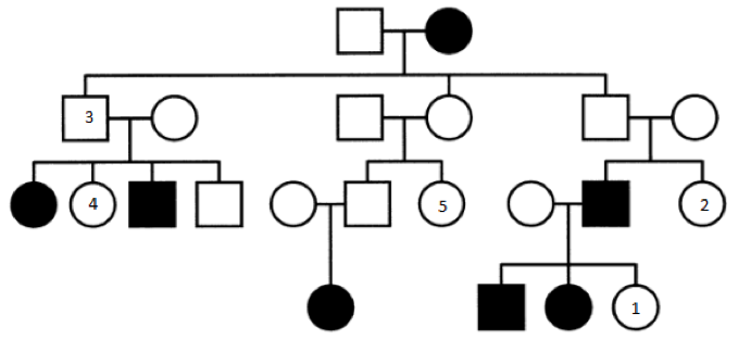 Solved In the family tree displayed below individuals marked | Chegg.com