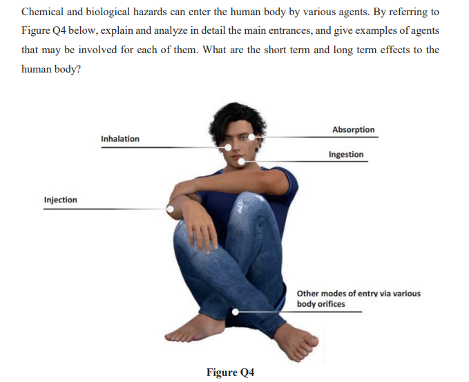Solved Chemical and biological hazards can enter the human | Chegg.com
