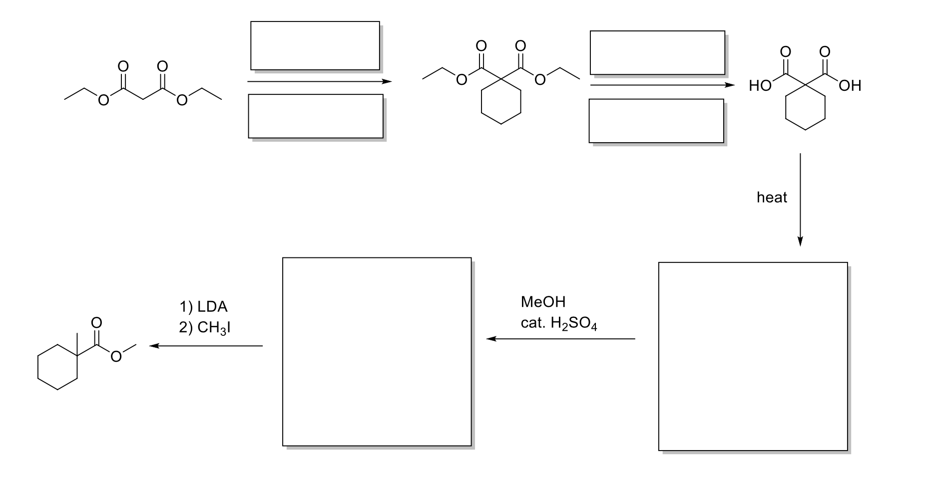 Solved heat MeOH cat. H2SO4 | Chegg.com