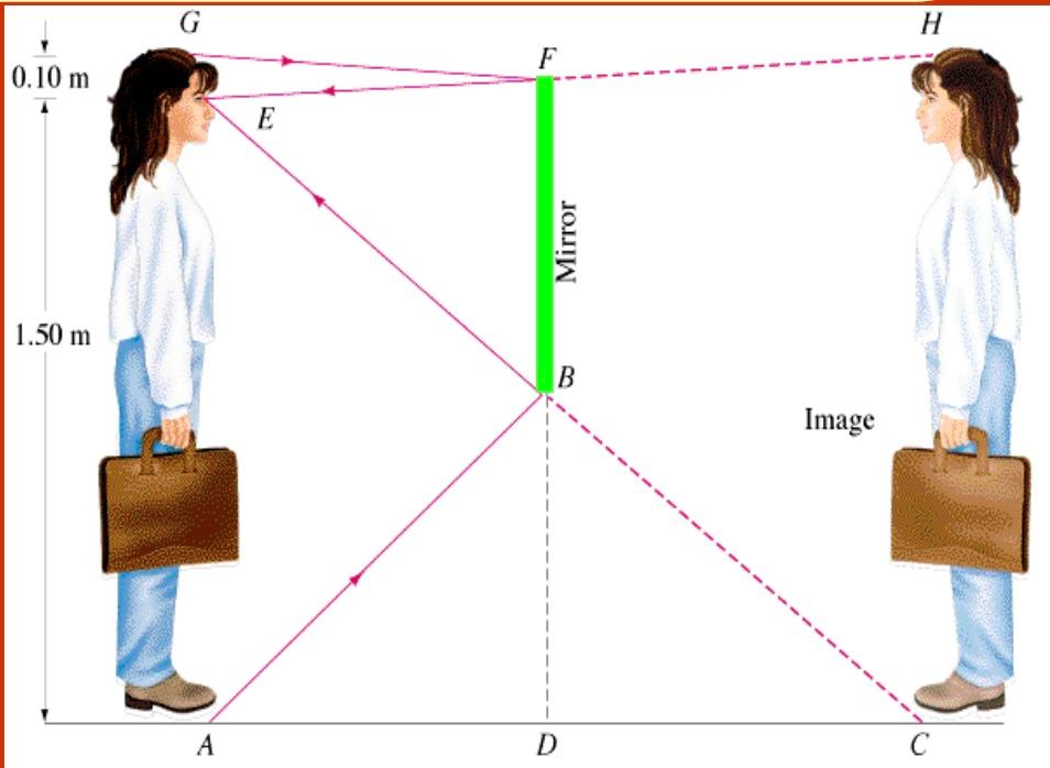 Solved You stand in front of a mirror and can see yourself | Chegg.com