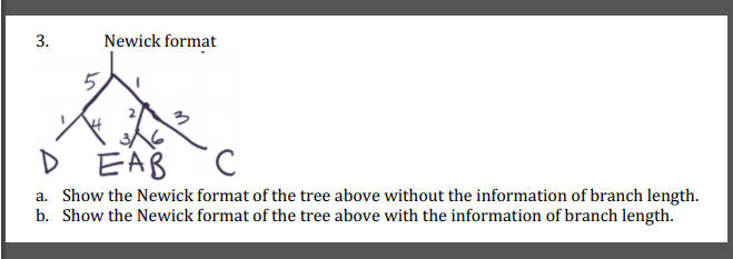 Solved 3. Newick format 5 EAB C a. Show the Newick format of | Chegg.com