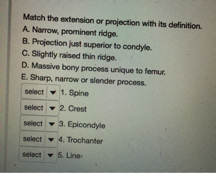 Solved Match the extension or projection with its | Chegg.com