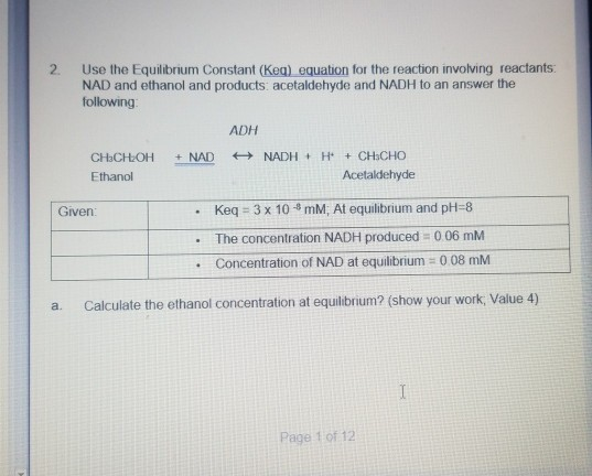 Solved Use the Equilibrium Constant (Keg) equation for the | Chegg.com