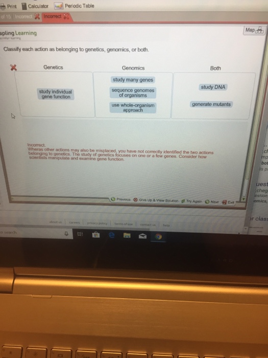 Solved Print Calculator Periodic Table Map dob apling | Chegg.com