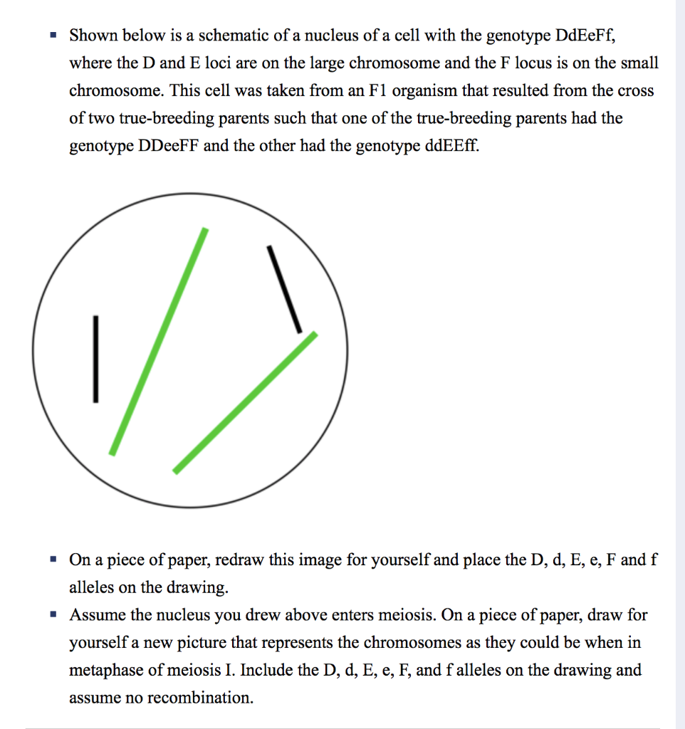 Solved Shown below is a schematic of a nucleus of a cell | Chegg.com