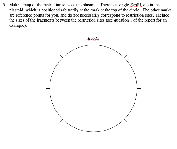 Solved 5. Make a map of the restriction sites of the | Chegg.com