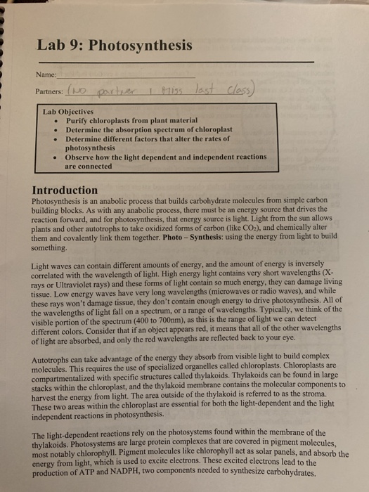 Solved Lab 9: Photosynthesis Name: Partners: (wo Lab | Chegg.com