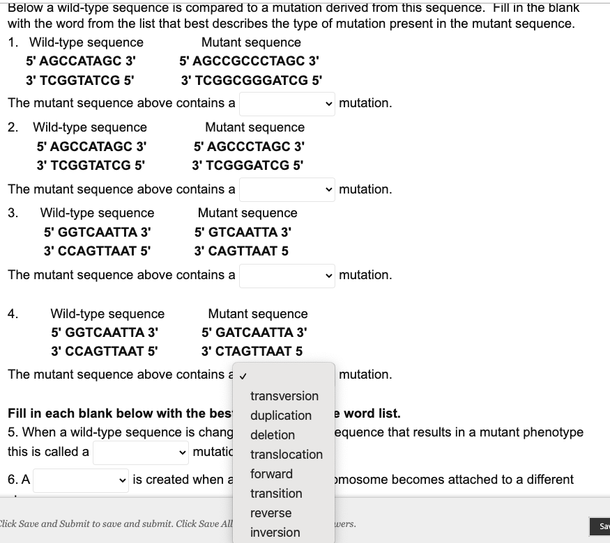 Solved Below a wild-type sequence is compared to a mutation | Chegg.com