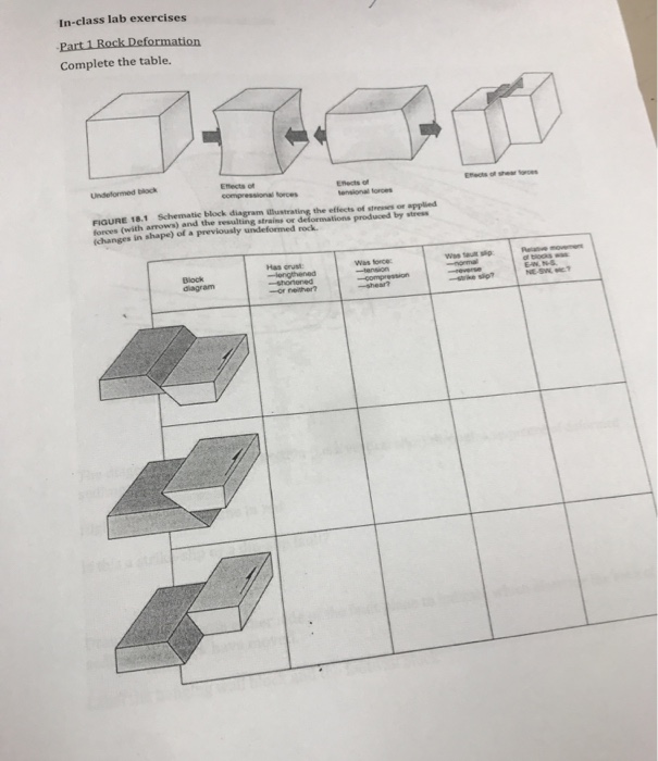 Solved In-class lab exercises -Part 1 Rock Deformation | Chegg.com