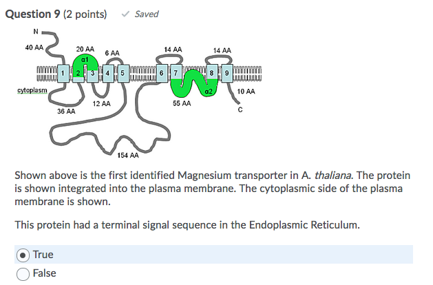 Solved The signal recognition particle receptor is a soluble | Chegg.com