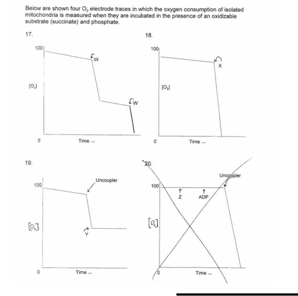 Solved 16. The term “Pasteur Effect” refers to: A B. C. The | Chegg.com