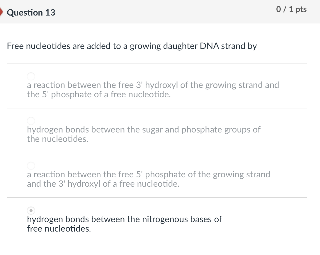 Solved Free nucleotides are added to a growing daughter DNA | Chegg.com