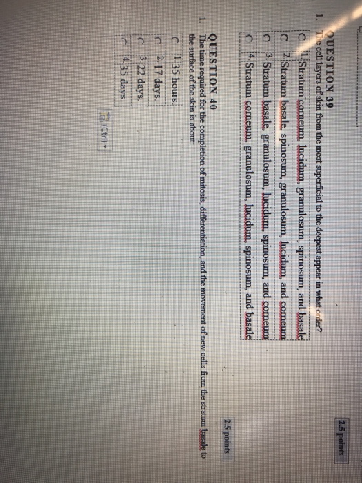 Solved Paragraph Font True and False questions: QUESTION 1 | Chegg.com
