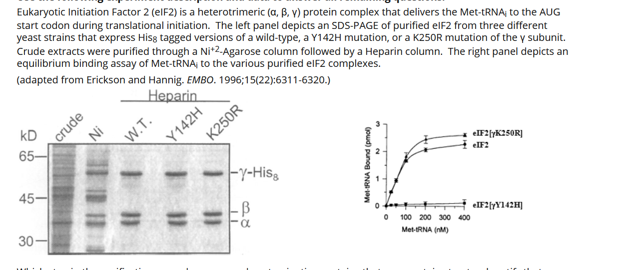 Solved Question 6 What is the estimated MW (in kD) of | Chegg.com