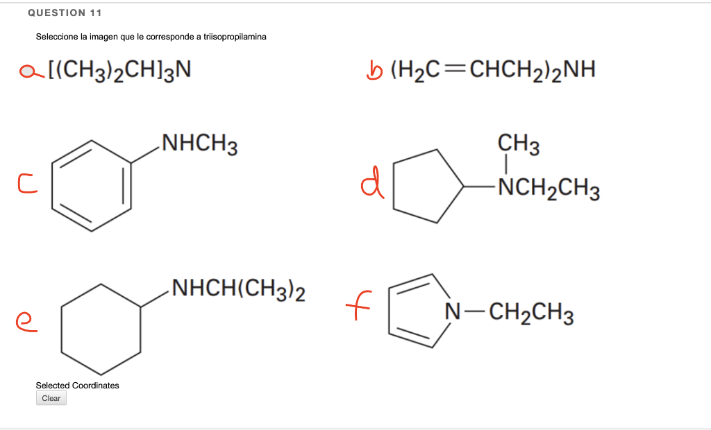Solved QUESTION 11 Seleccione la imagen que le corresponde a | Chegg.com