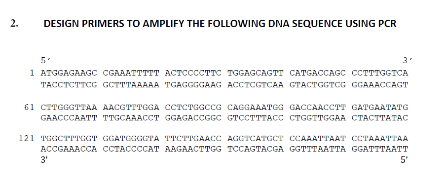 Solved 2. DESIGN PRIMERS TO AMPLIFY THE FOLLOWING DNA | Chegg.com