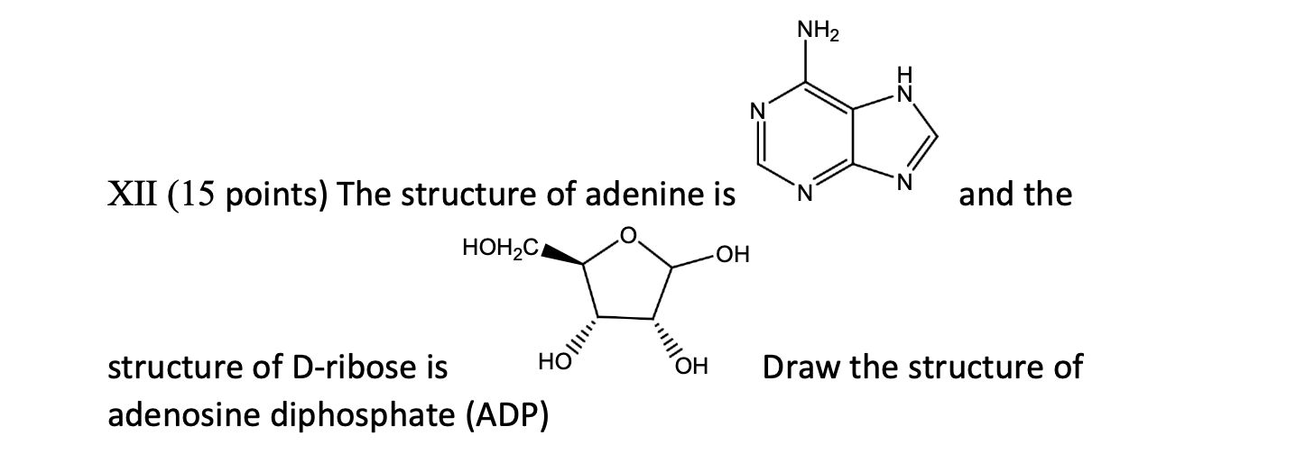 Solved XII (15 points) The structure of adenine is and the | Chegg.com