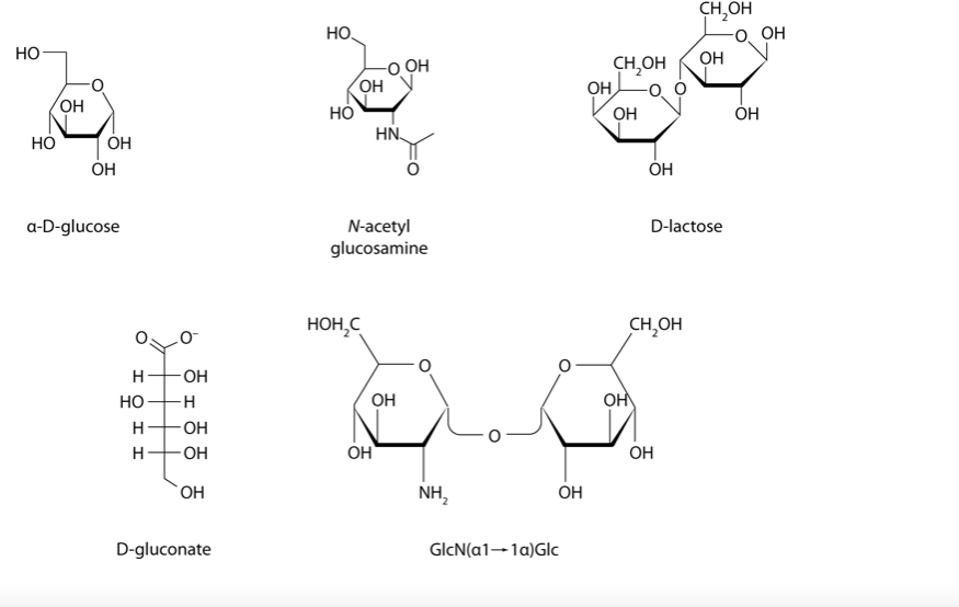 Solved The structures of several sugars are shown. Select | Chegg.com