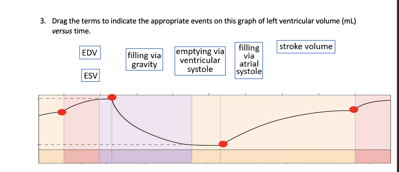 Solved 3. Drag the terms to indicate the appropriate events | Chegg.com