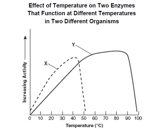 Solved According to figure below (5 marks): Which enzyme | Chegg.com