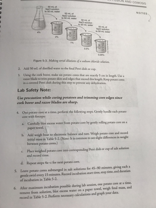 Solved Predict the results of the experiment based on your | Chegg.com